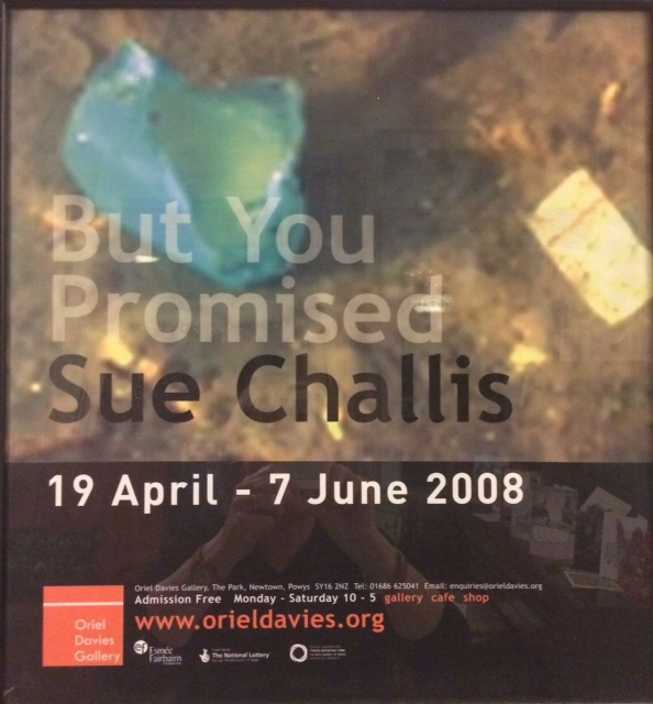 But You Promised - Sue Challis